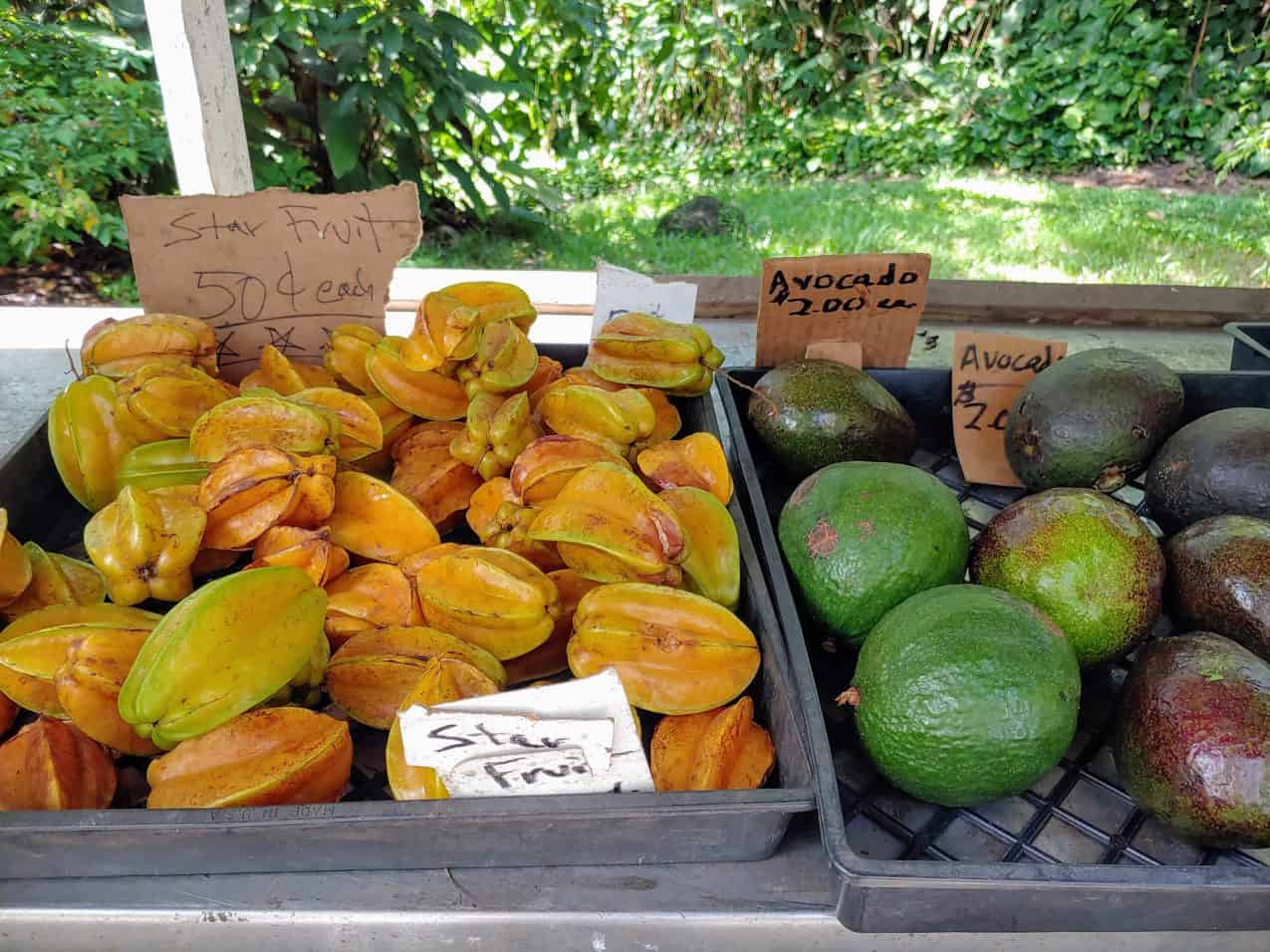 17 Varieties of Fruit in Hawaii You Simply Must Try