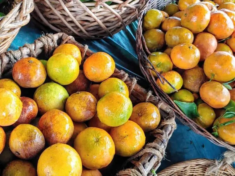17 Varieties of Fruit in Hawaii You Simply Must Try